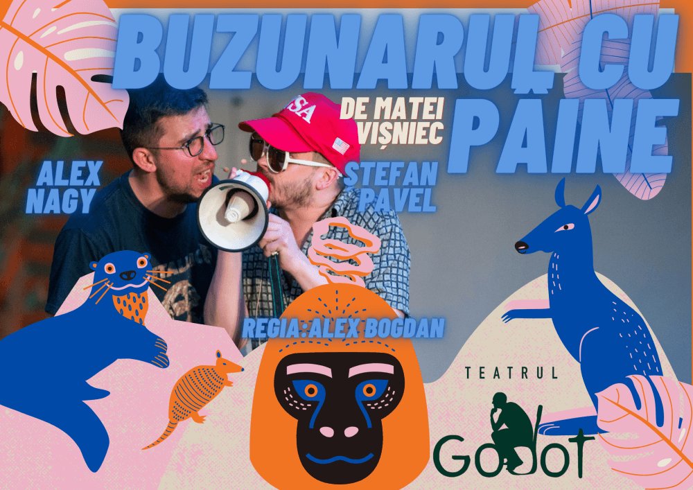 Buzunarul cu paine de Matei Visniec